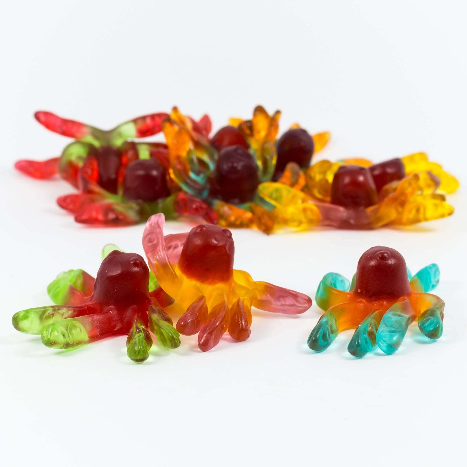 Trolli Gummy Octopus x 8kg – Horse Torque & Lollies